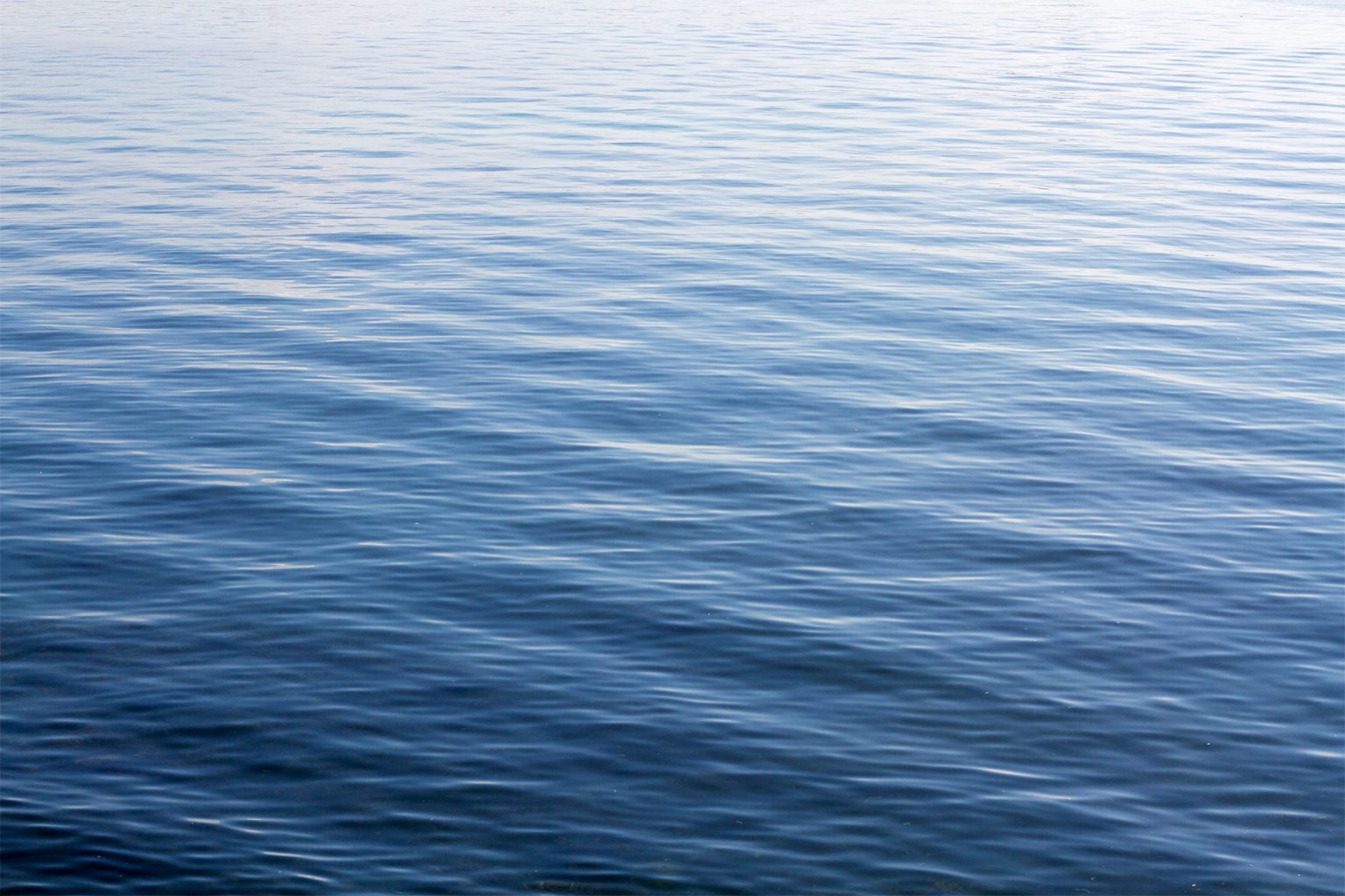 Narrabay – Working for a Clean Bay