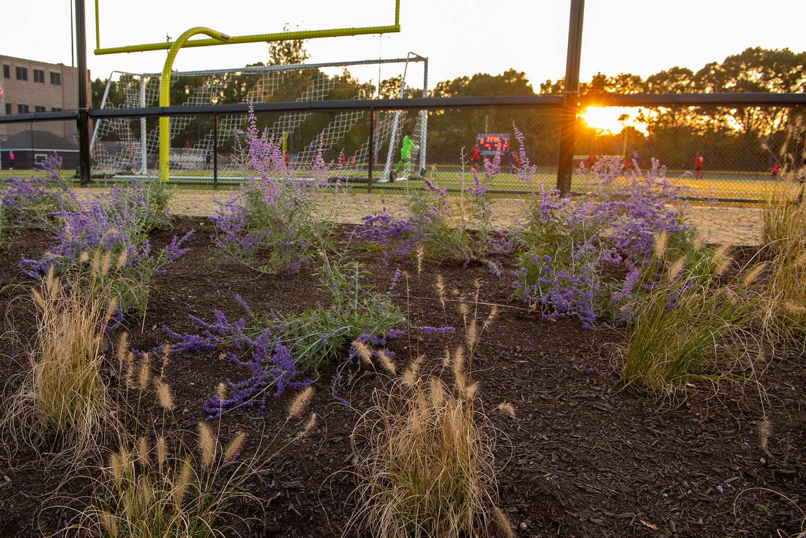 Stormwater Mitigation Program – Narrabay